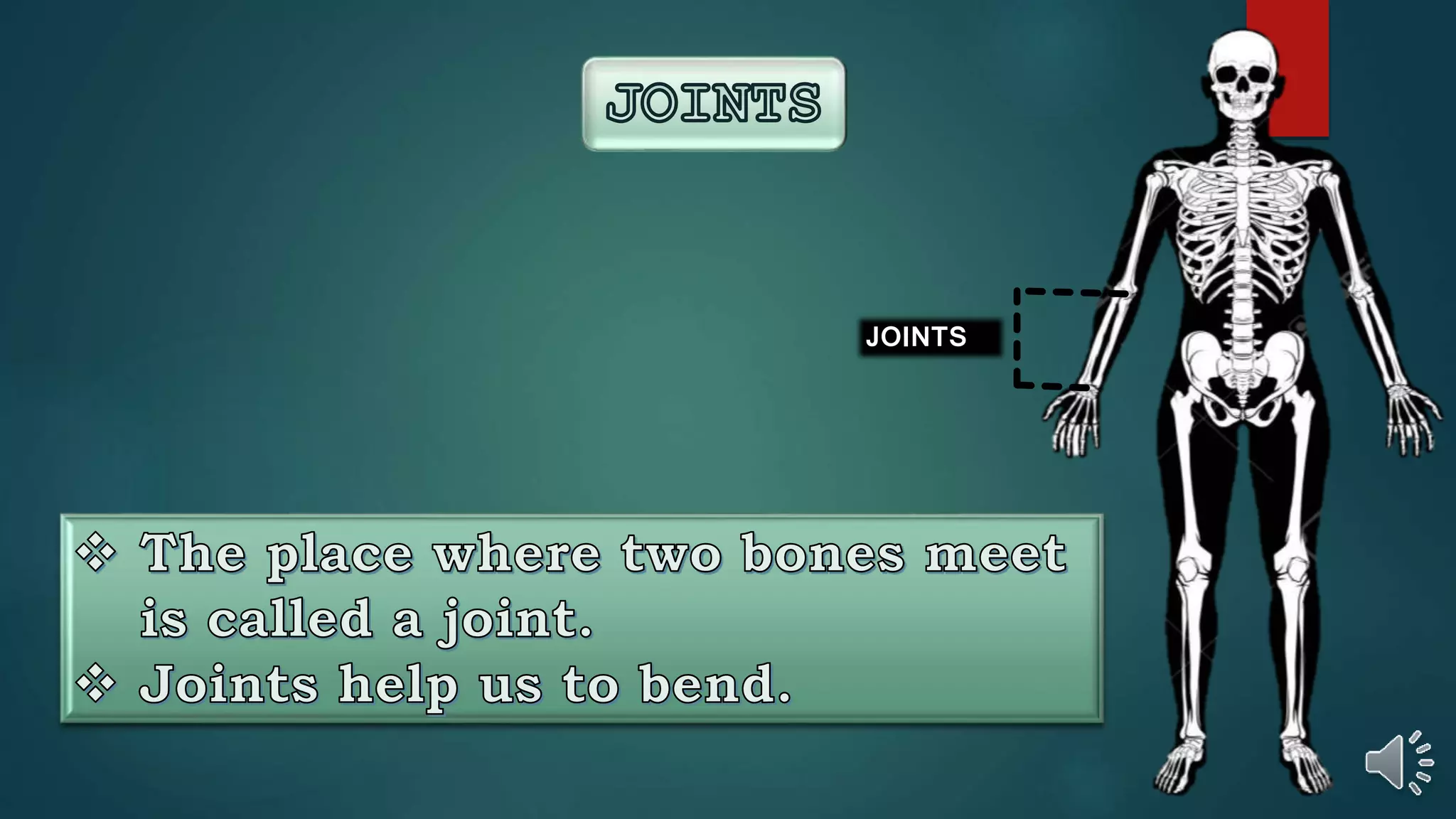 PPT on Our Body Class-3.pptx