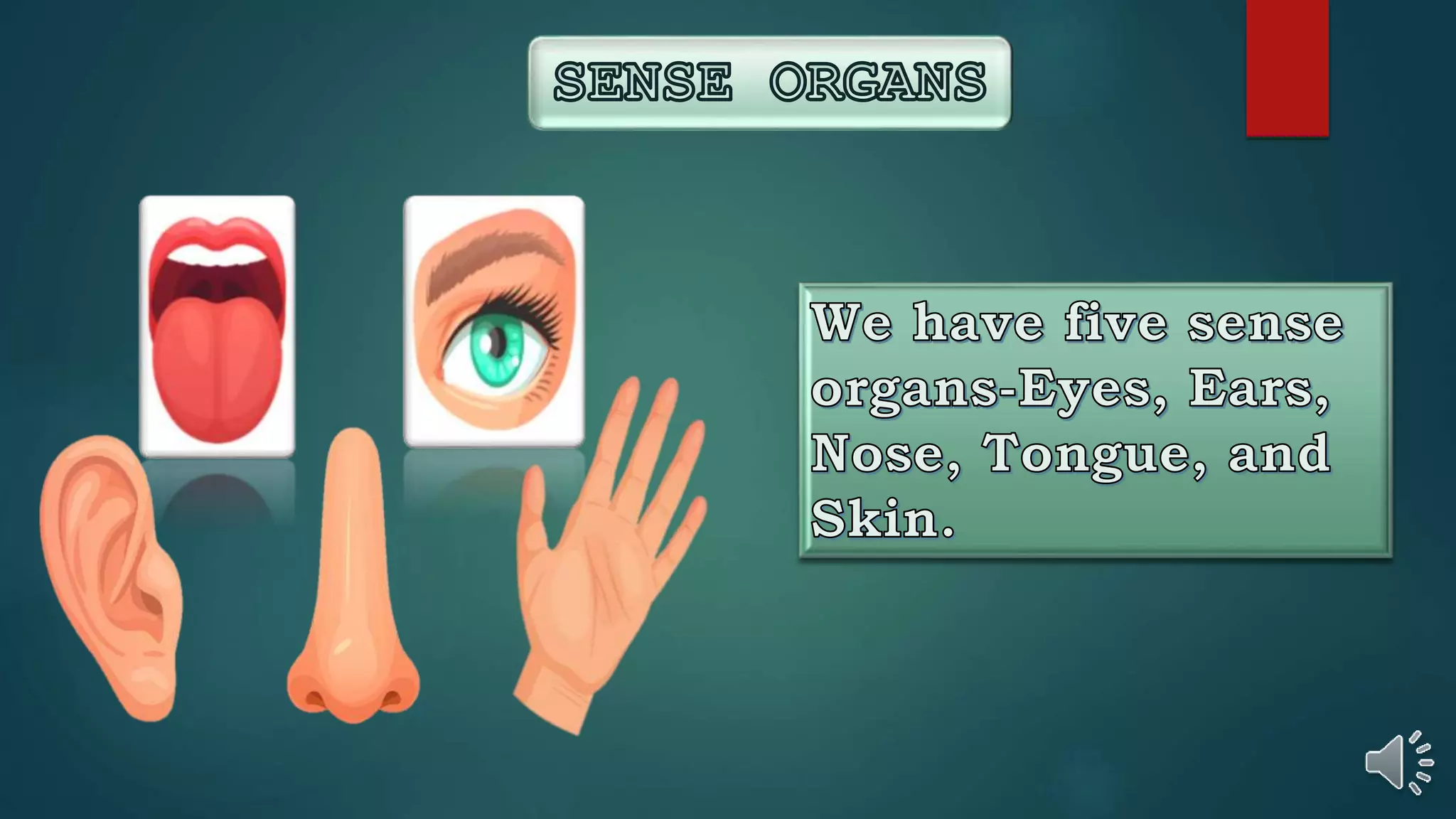 PPT on Our Body Class-3.pptx