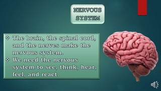 PPT on Our Body Class-3.pptx