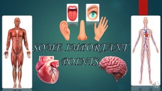 PPT on Our Body Class-3.pptx