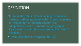 Ppt on patterns of nsg care delivery system in india | PPTX