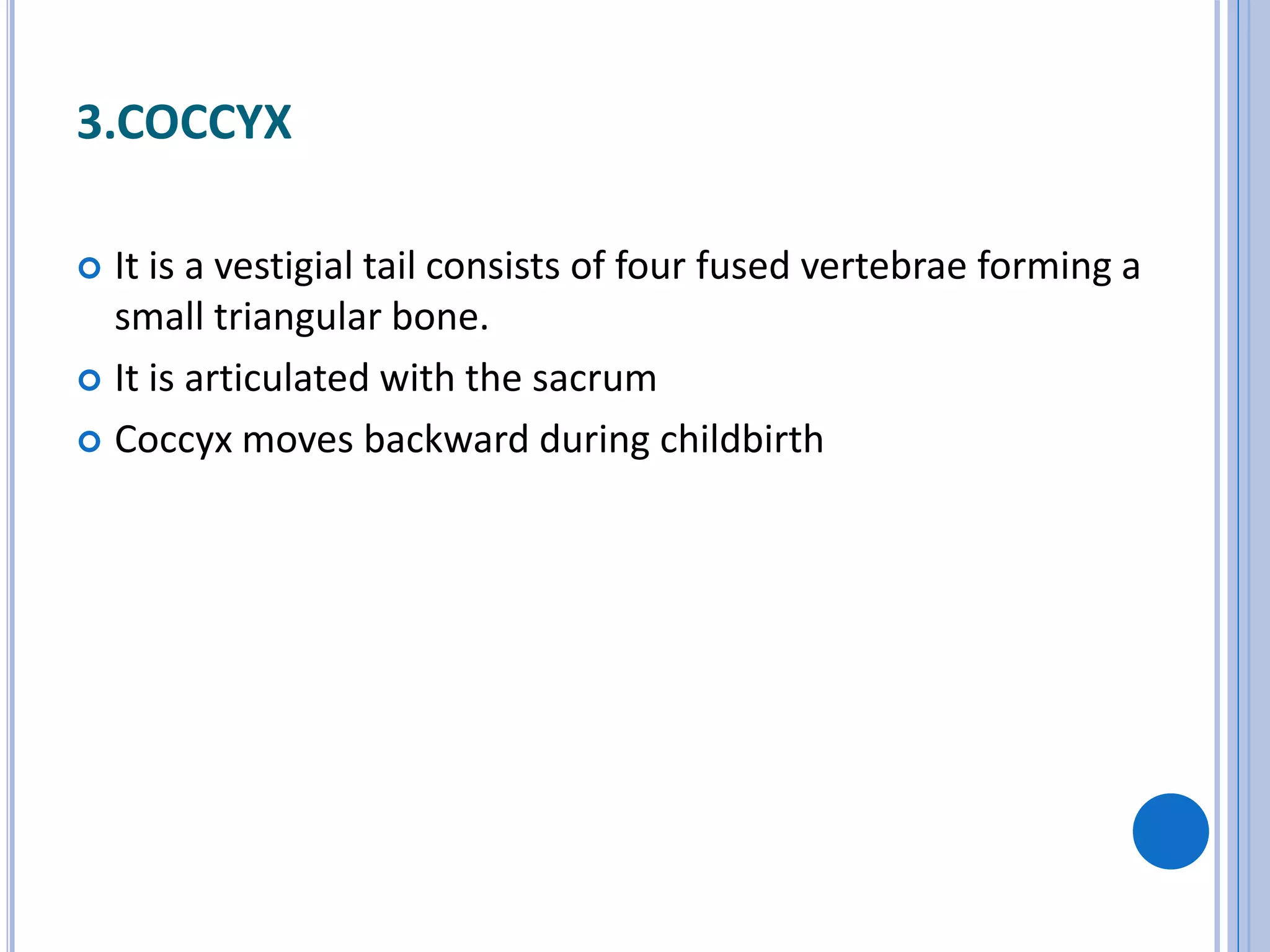 Ppt on pelvis | PPTX