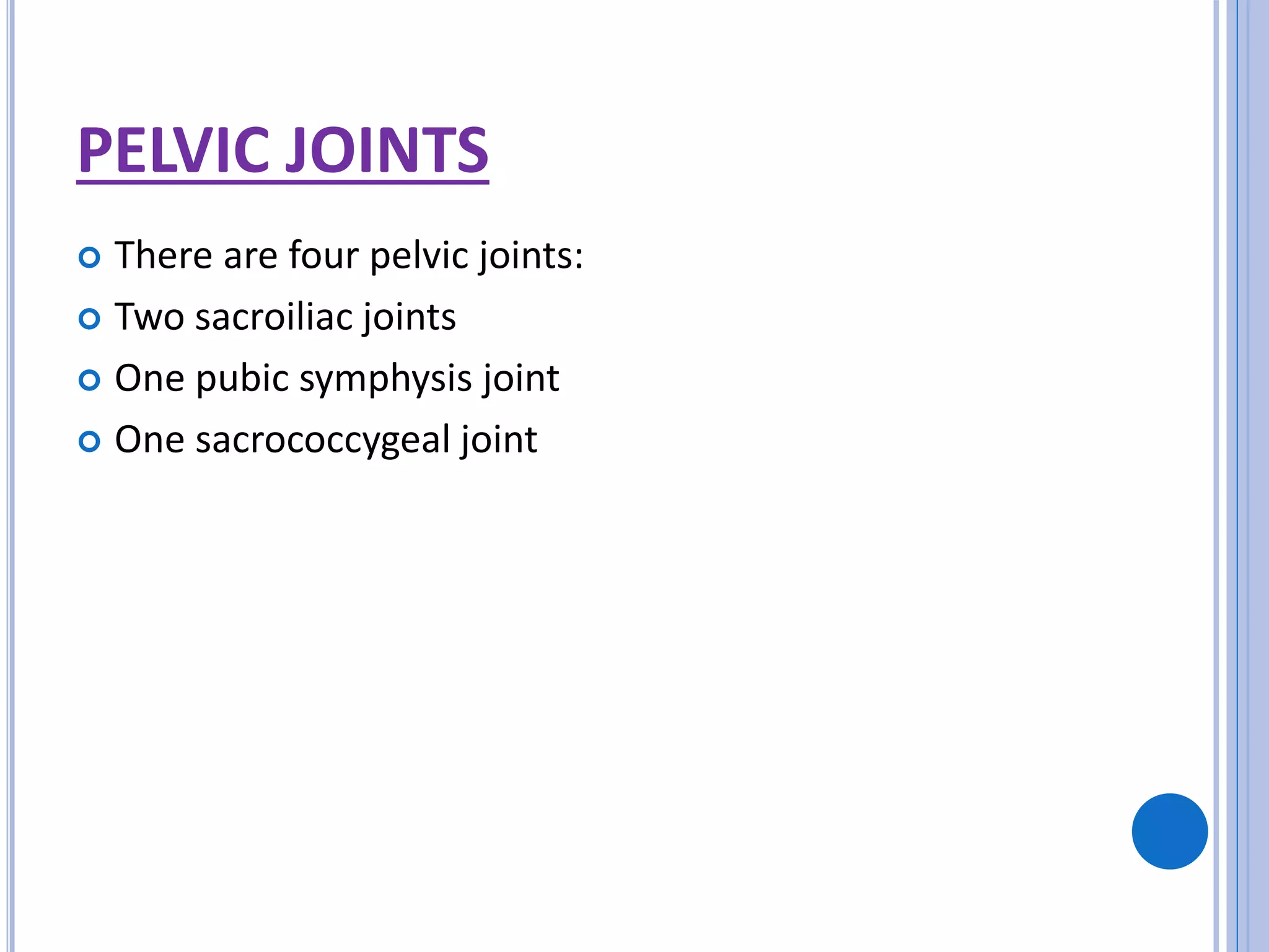 Ppt on pelvis | PPTX