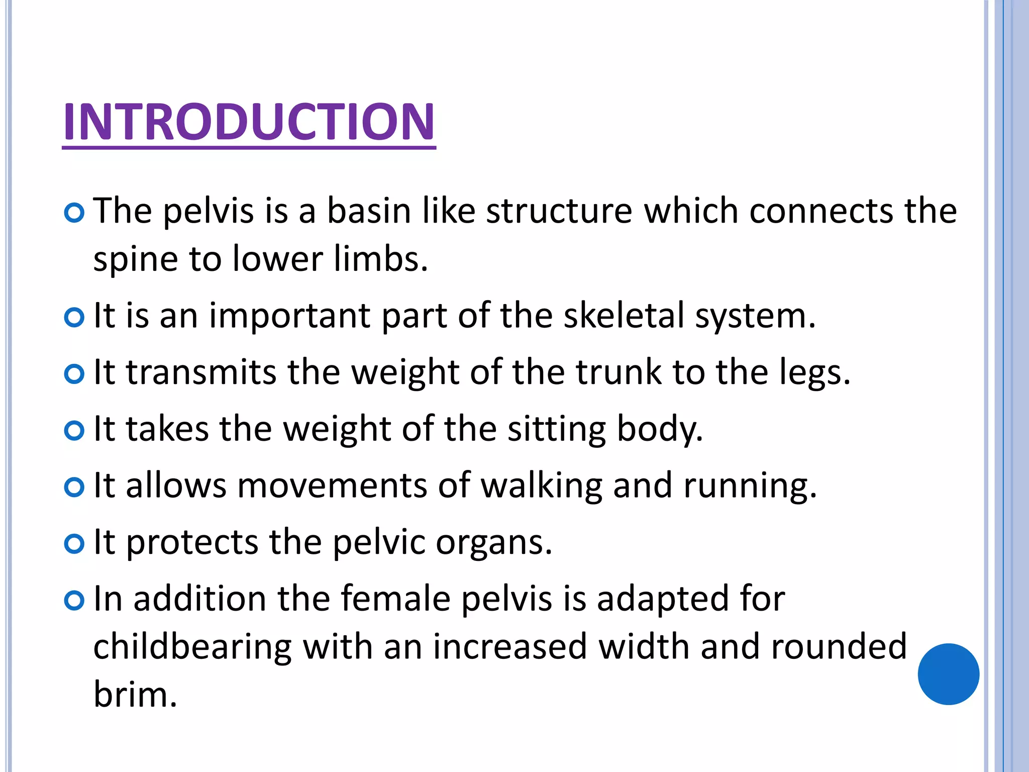 Ppt on pelvis | PPTX