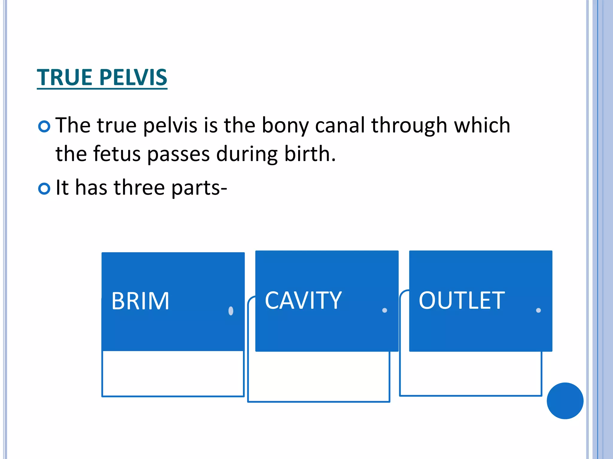 Ppt on pelvis | PPTX