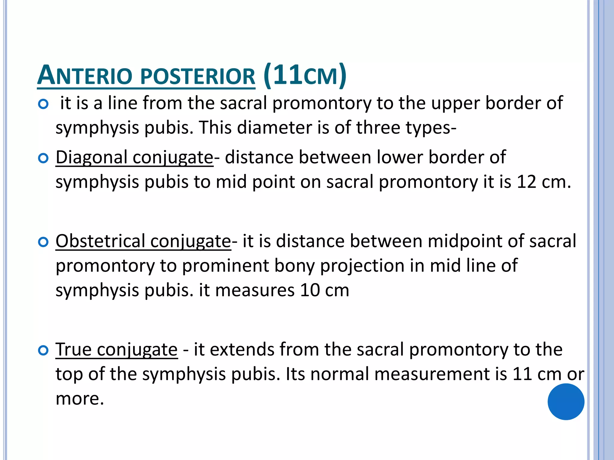 Ppt on pelvis | PPTX