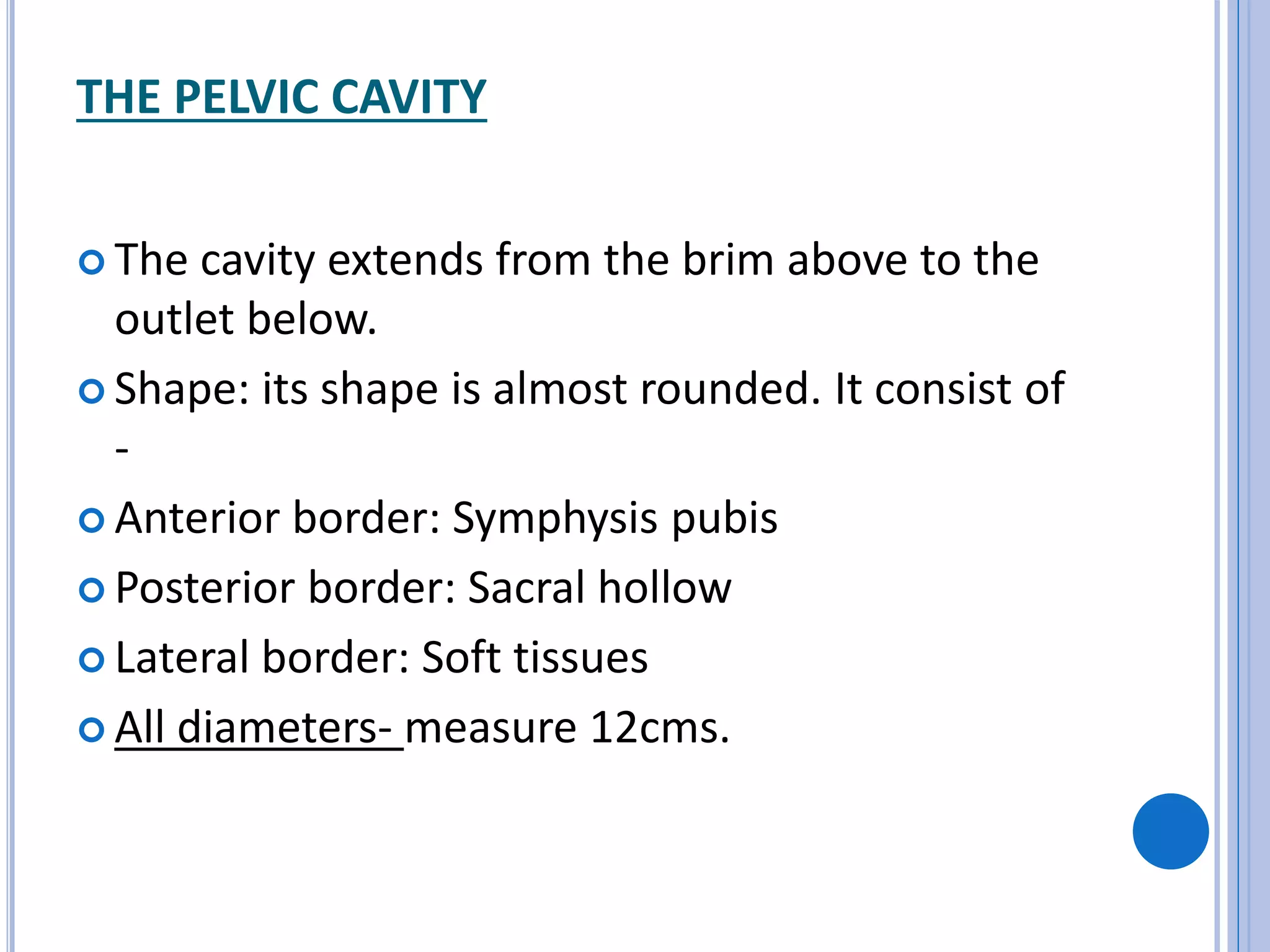 Ppt on pelvis | PPTX