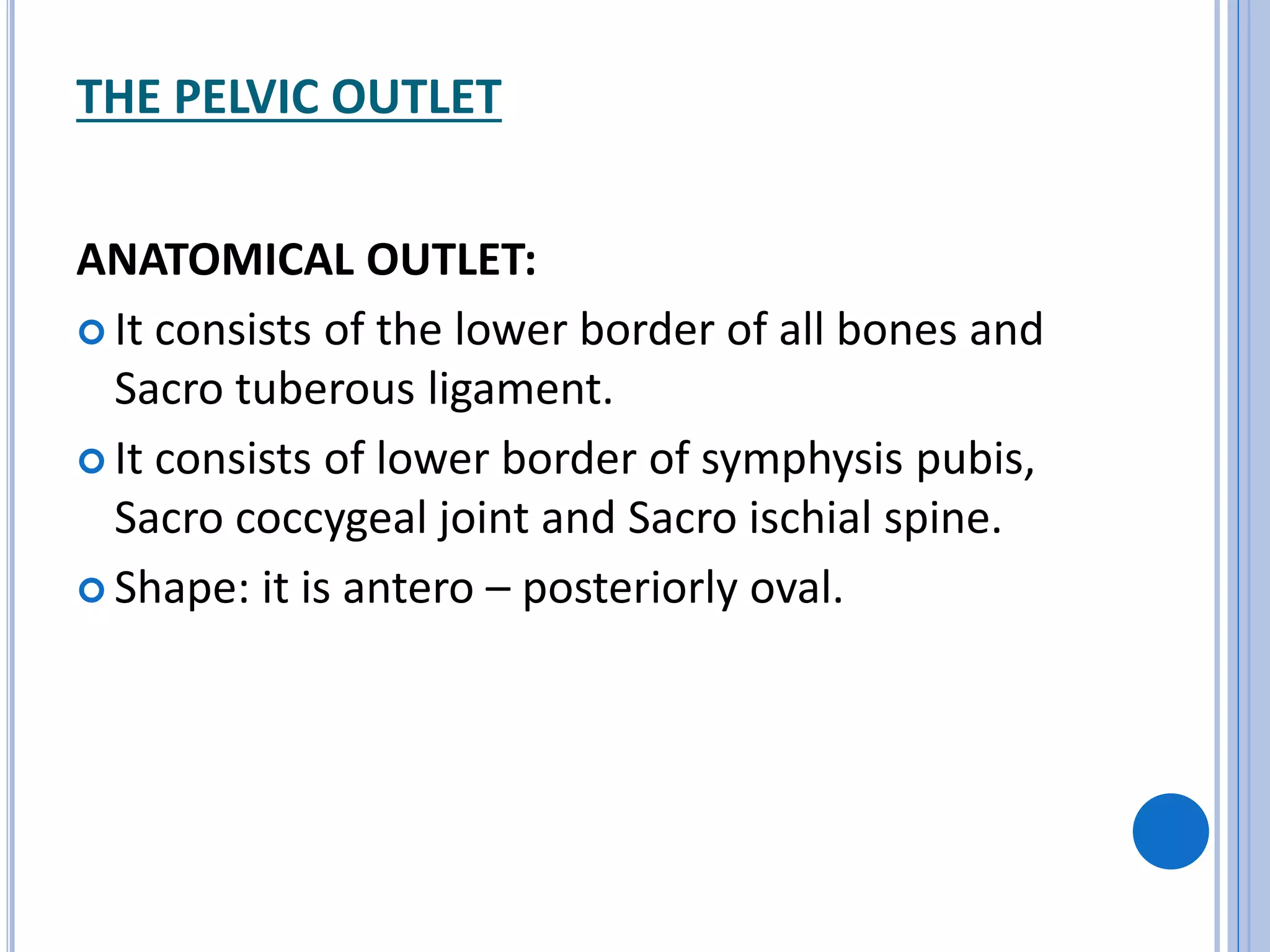 Ppt on pelvis | PPTX