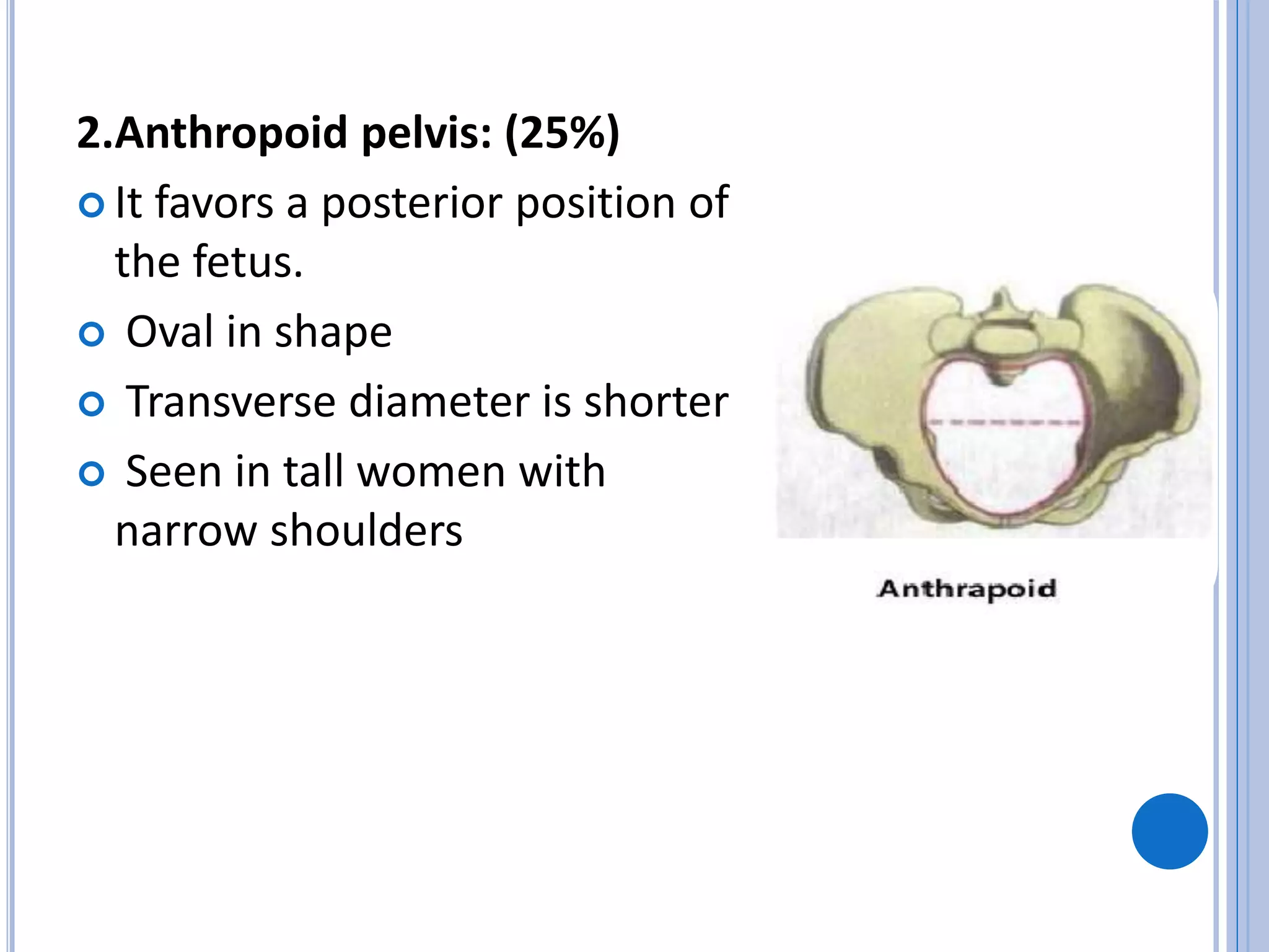 Ppt on pelvis | PPTX
