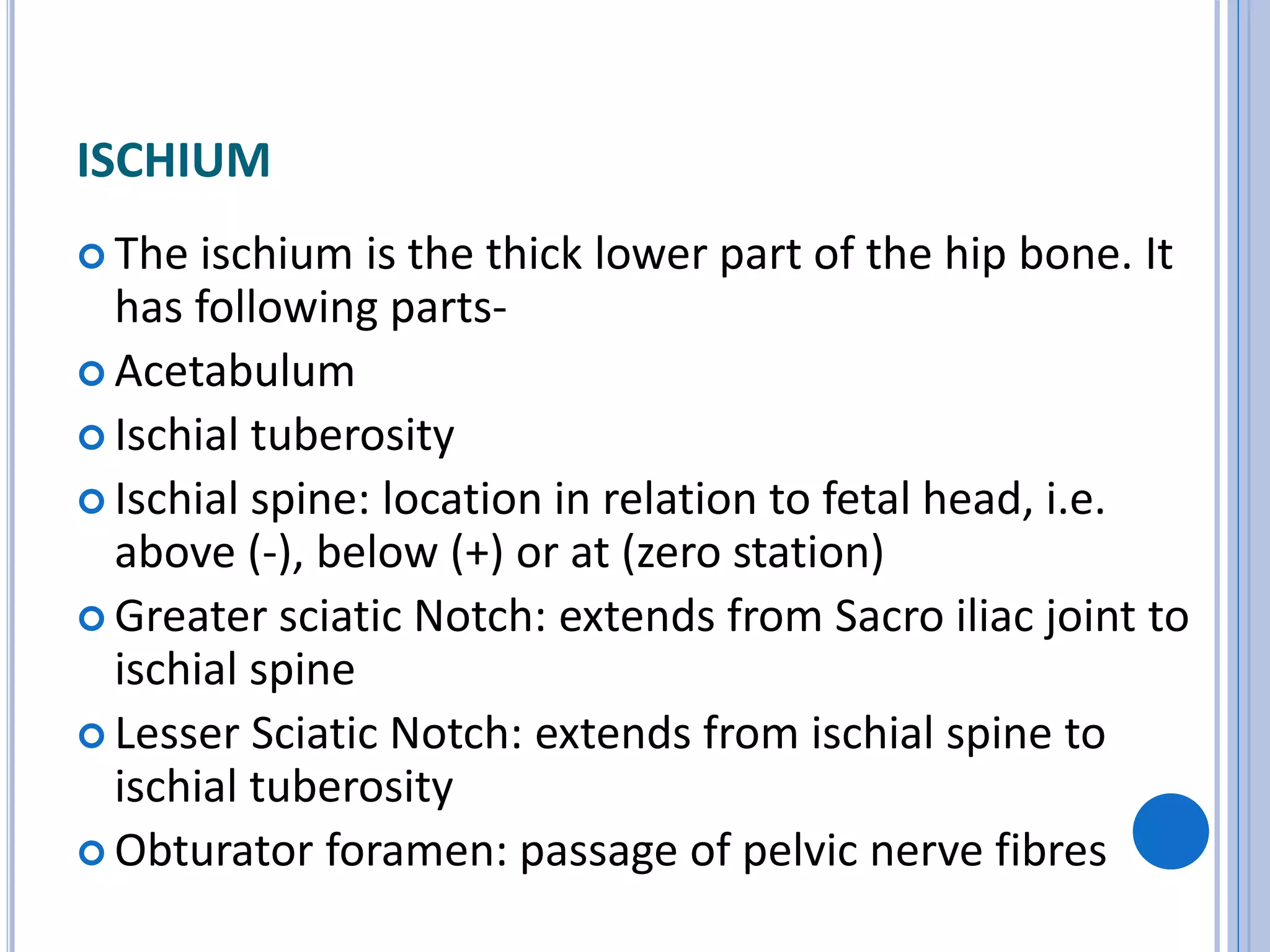 Ppt on pelvis | PPTX