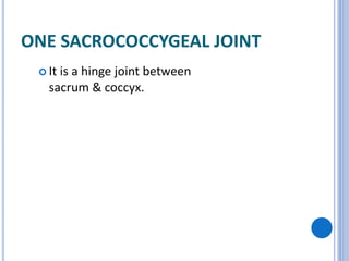 Ppt on pelvis | PPTX
