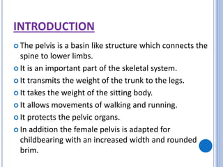 Ppt on pelvis | PPTX