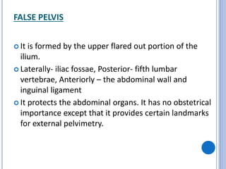 Ppt on pelvis | PPTX