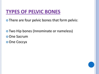 Ppt on pelvis | PPTX | Pregnancy | Reproductive Health