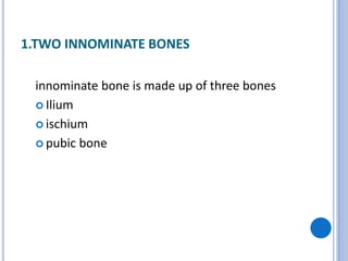 Ppt on pelvis | PPTX