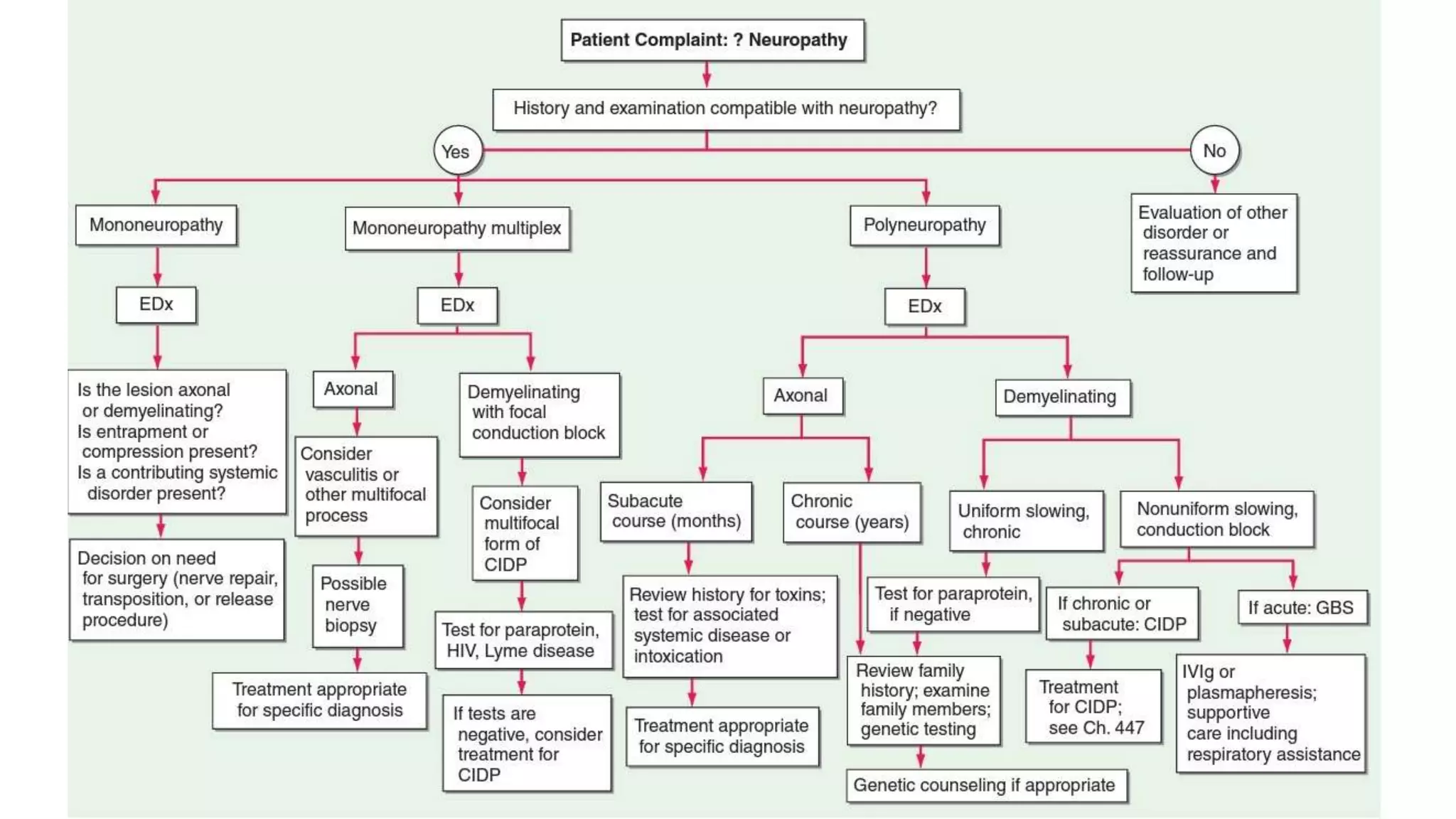 ppt on peripheral neuropathy.pptx