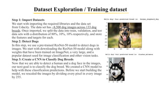 ppt on the pet identification sem4-1.pptx