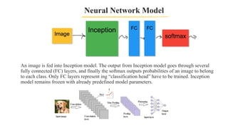ppt on the pet identification sem4-1.pptx