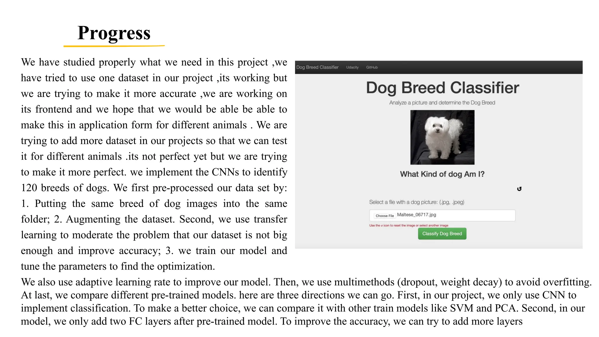 ppt on the pet identification sem4.pptx