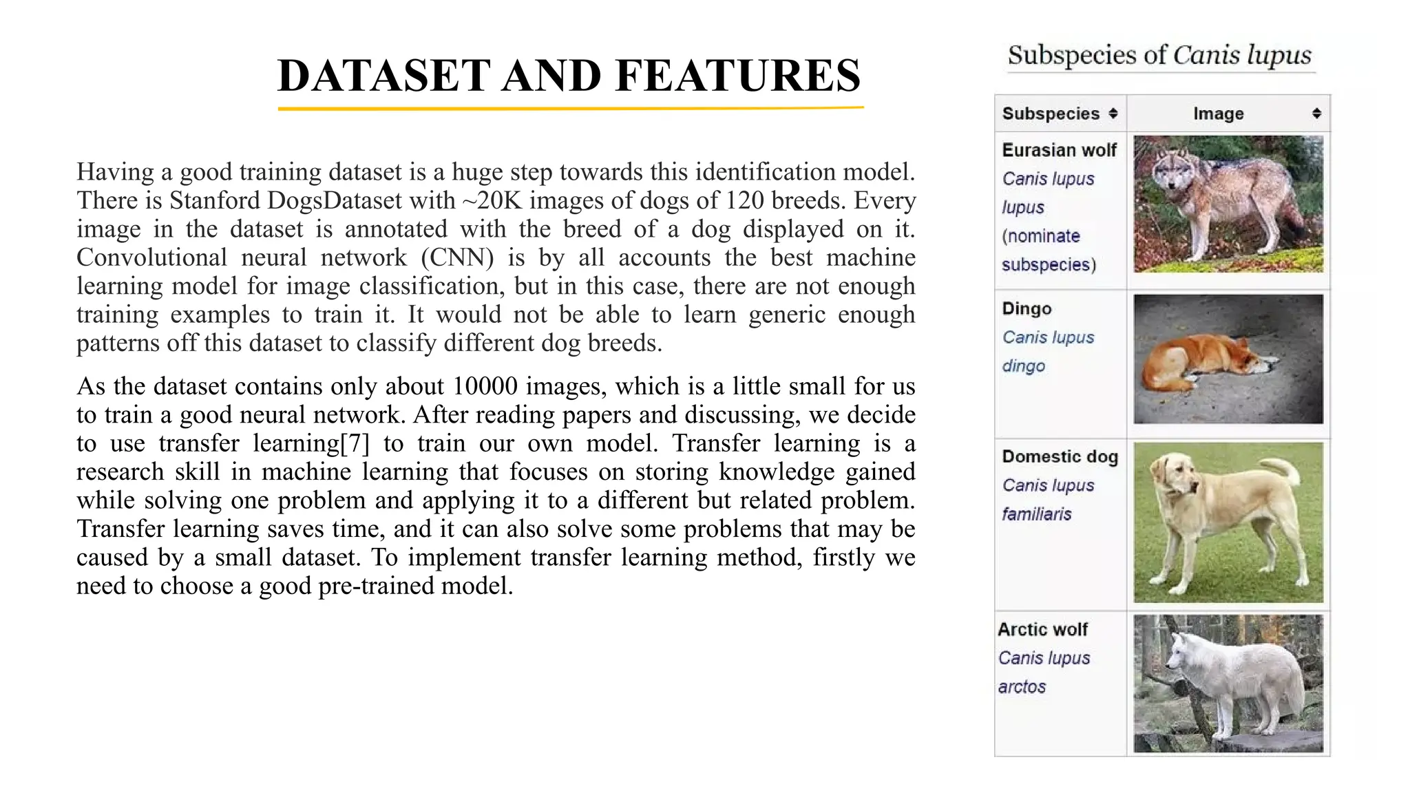 ppt on the pet identification sem4.pptx