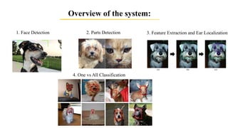ppt on the pet identification sem4.pptx