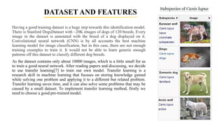 ppt on the pet identification sem4.pptx