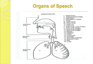 Phonetics - Part 1 | PPT