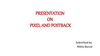 Ppt on pixel & postback | PPTX