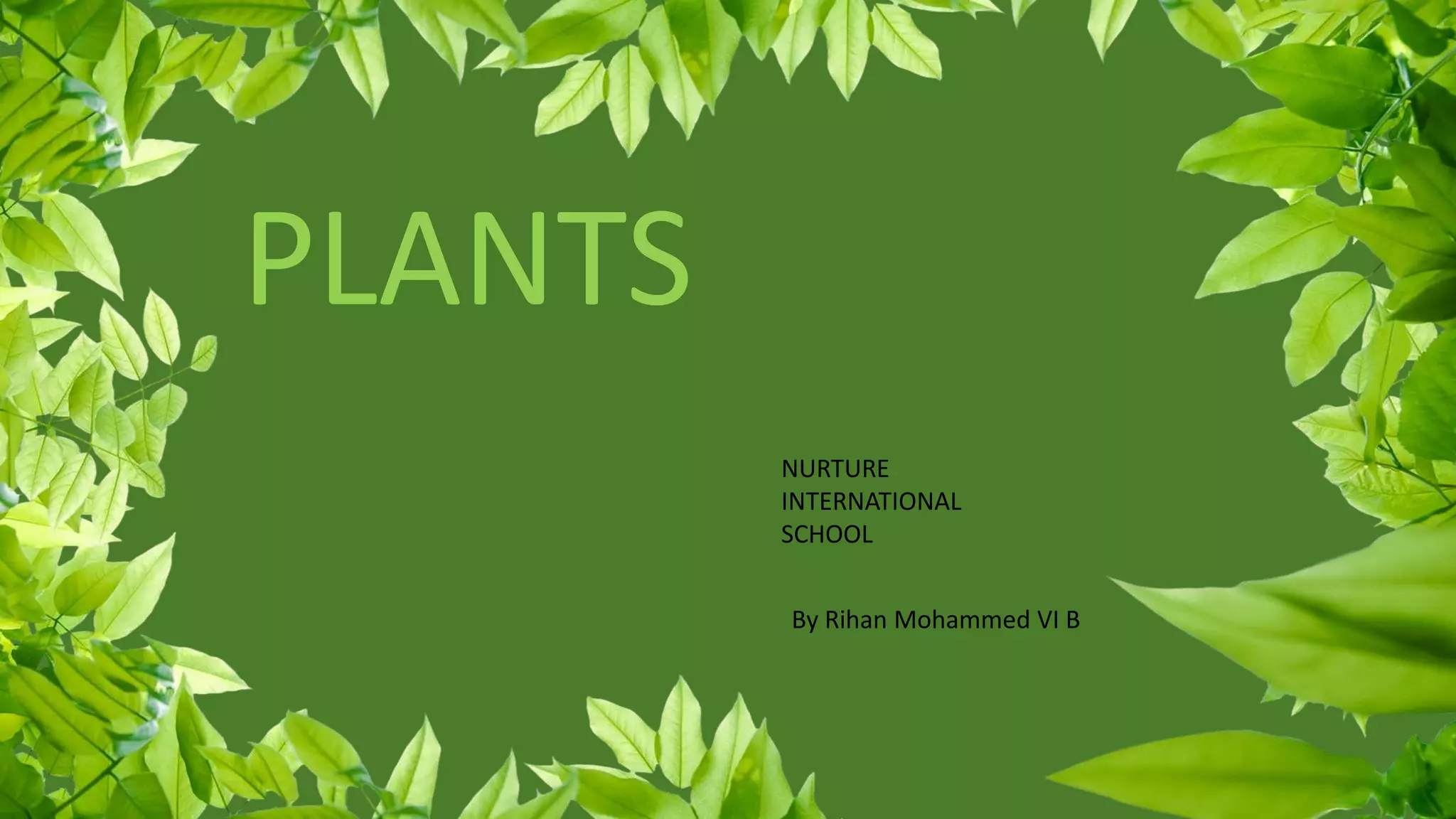 ppt on PLANTS.pptx