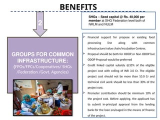 PPT ON Prime Minister Formalization of Micro Food Processing Enterprise ...