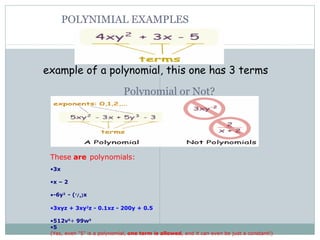 Ppt on polynomial | PPT
