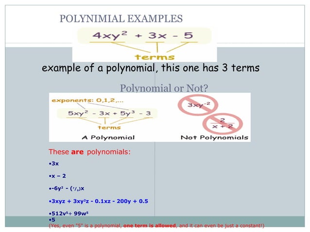 Ppt on polynomial