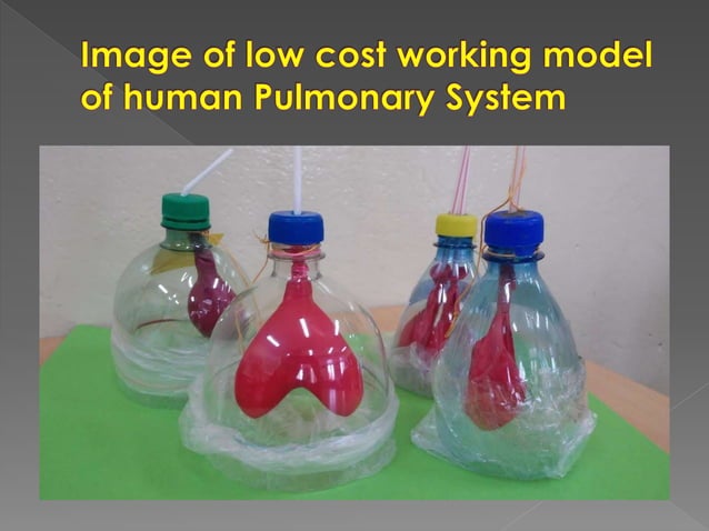 Preparation & Development of low-cost Improvised Apparatus for Science ...