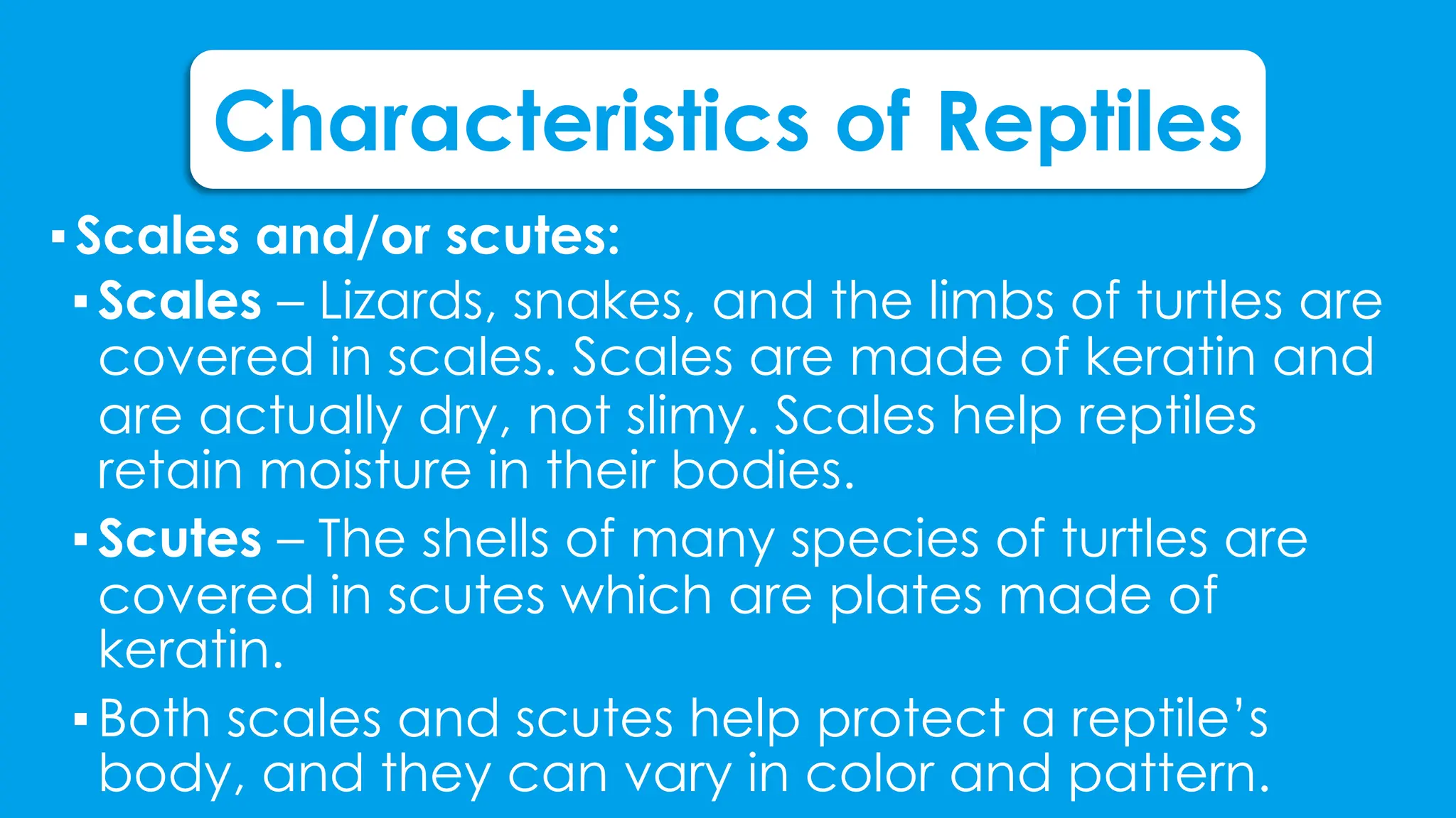 PPT on Different Characterises of reptiles.pdf