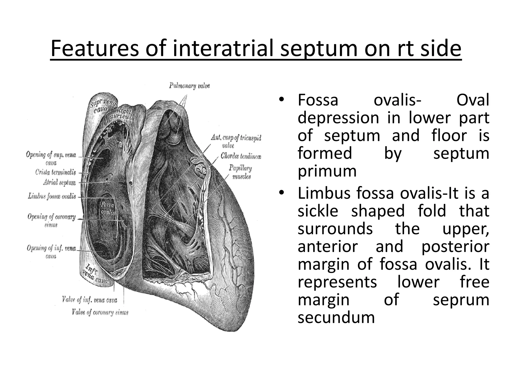 Right ATRIUM.pptx