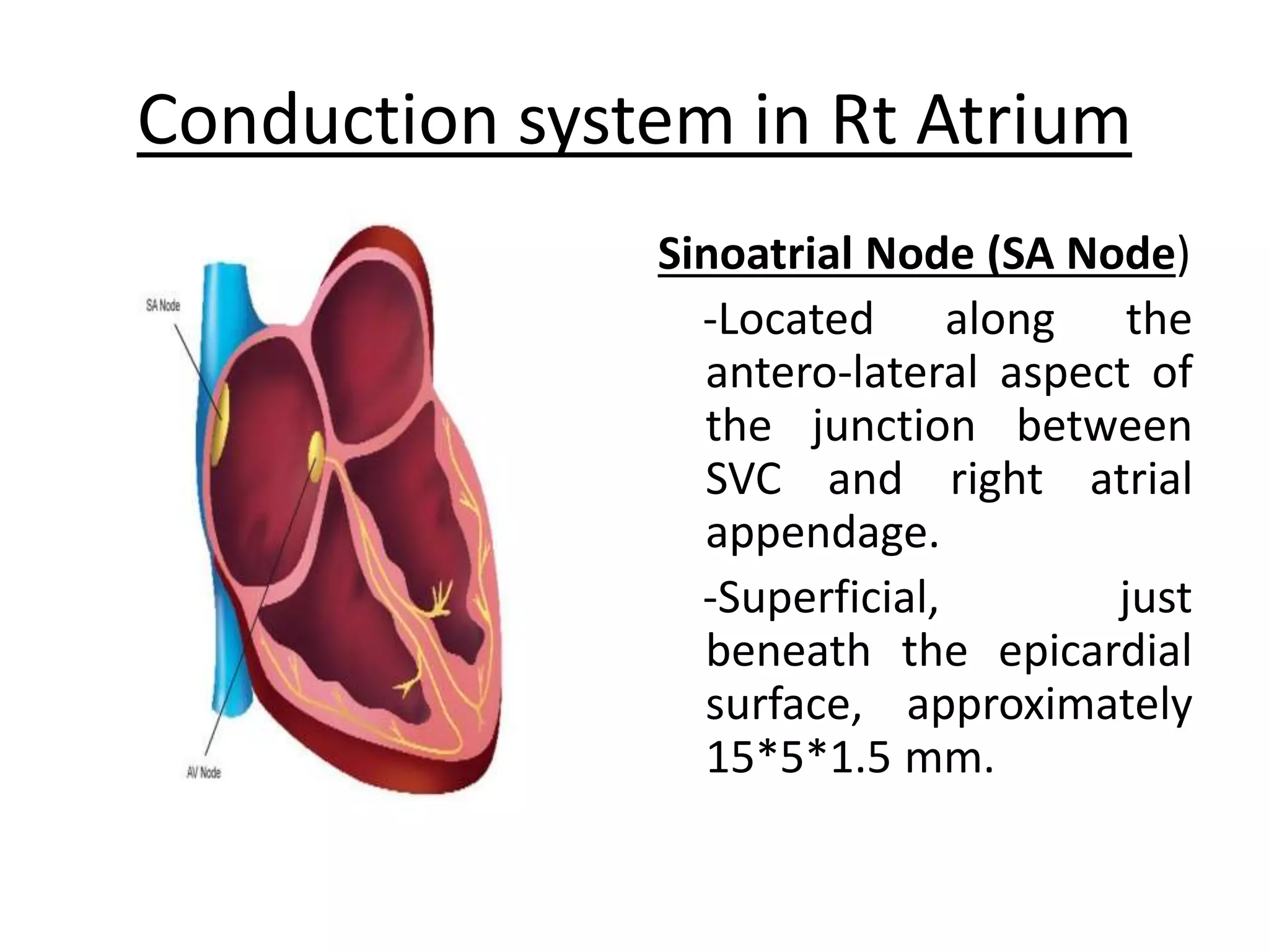 Right ATRIUM.pptx