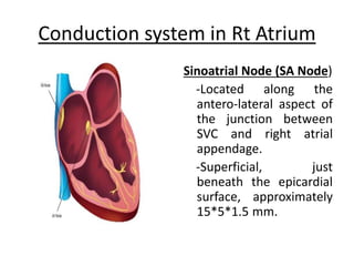 Right ATRIUM.pptx