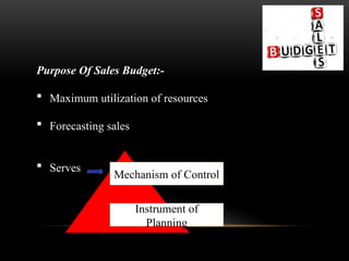 PPt on Sales Budget with Industry Examples.pptx