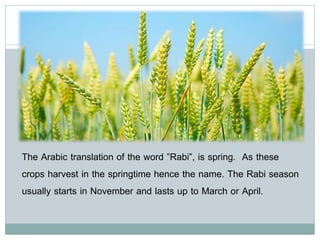 Seasonal Crop Varieties.pptx