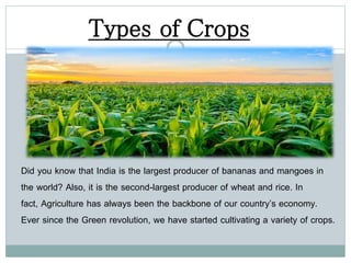 Seasonal Crop Varieties.pptx