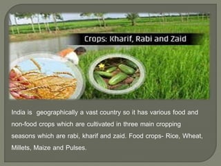 Seasonal Crop Varieties.pptx