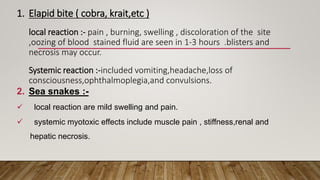 Ppt on snake bite | PPTX