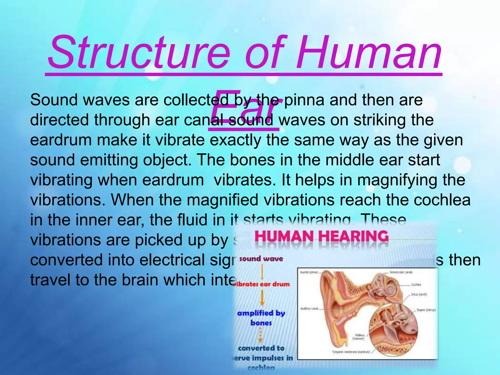 PPT ON SOUND BY MHFK | PPTX