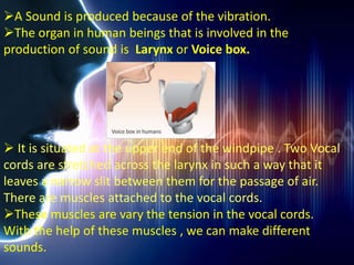 PPT ON SOUND BY MHFK | PPTX