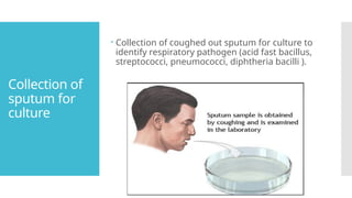 sputum culture definination and purposes. | PPT