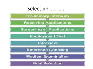 PPT ON STAFFING ( Selection process and Training & Development ) | PPTX