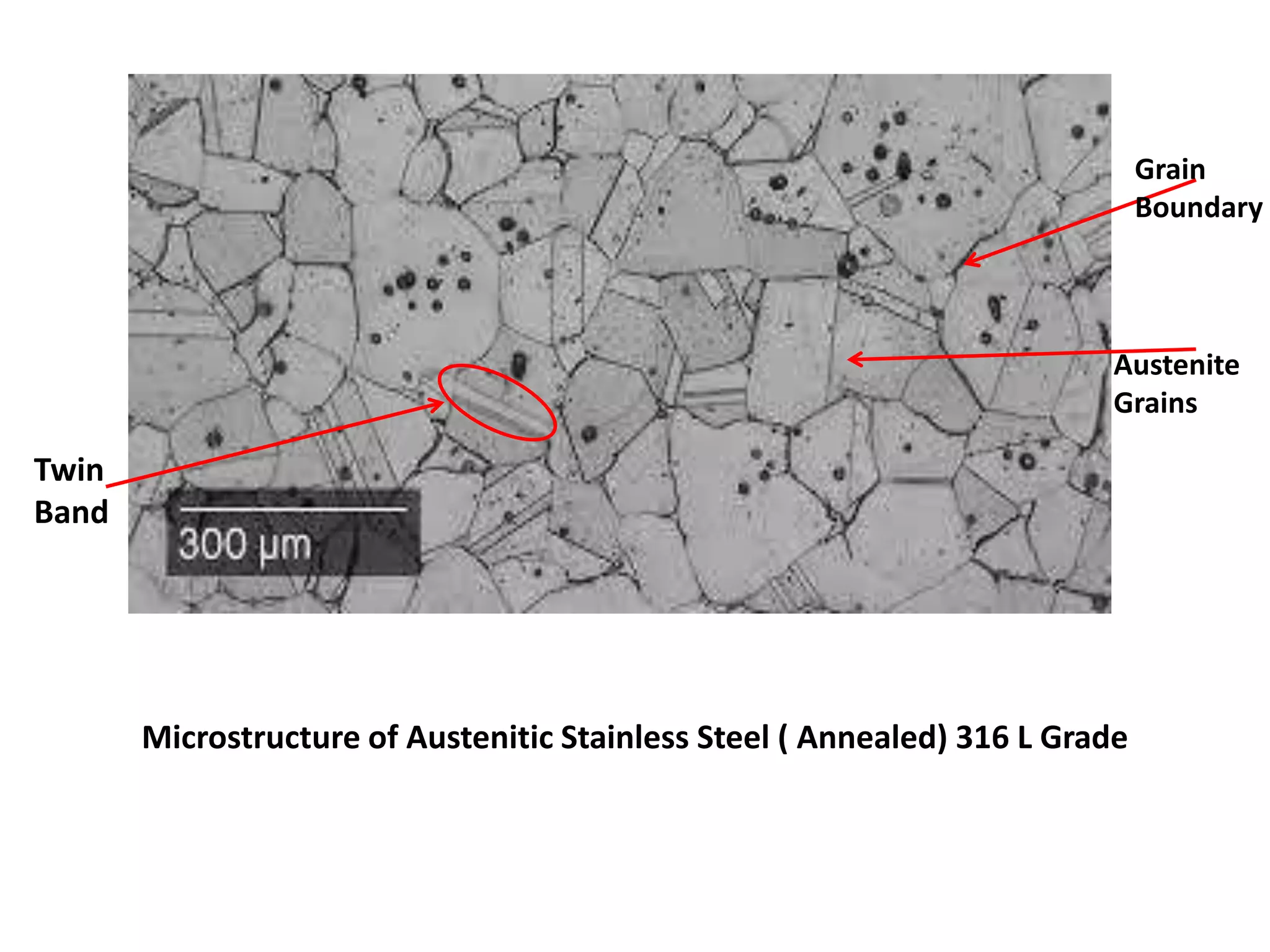 PPT on Stainless steels by Dr. R. Narayanasamy | PPTX
