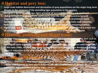 Tiger Conservation by Green Yatra | PPTX