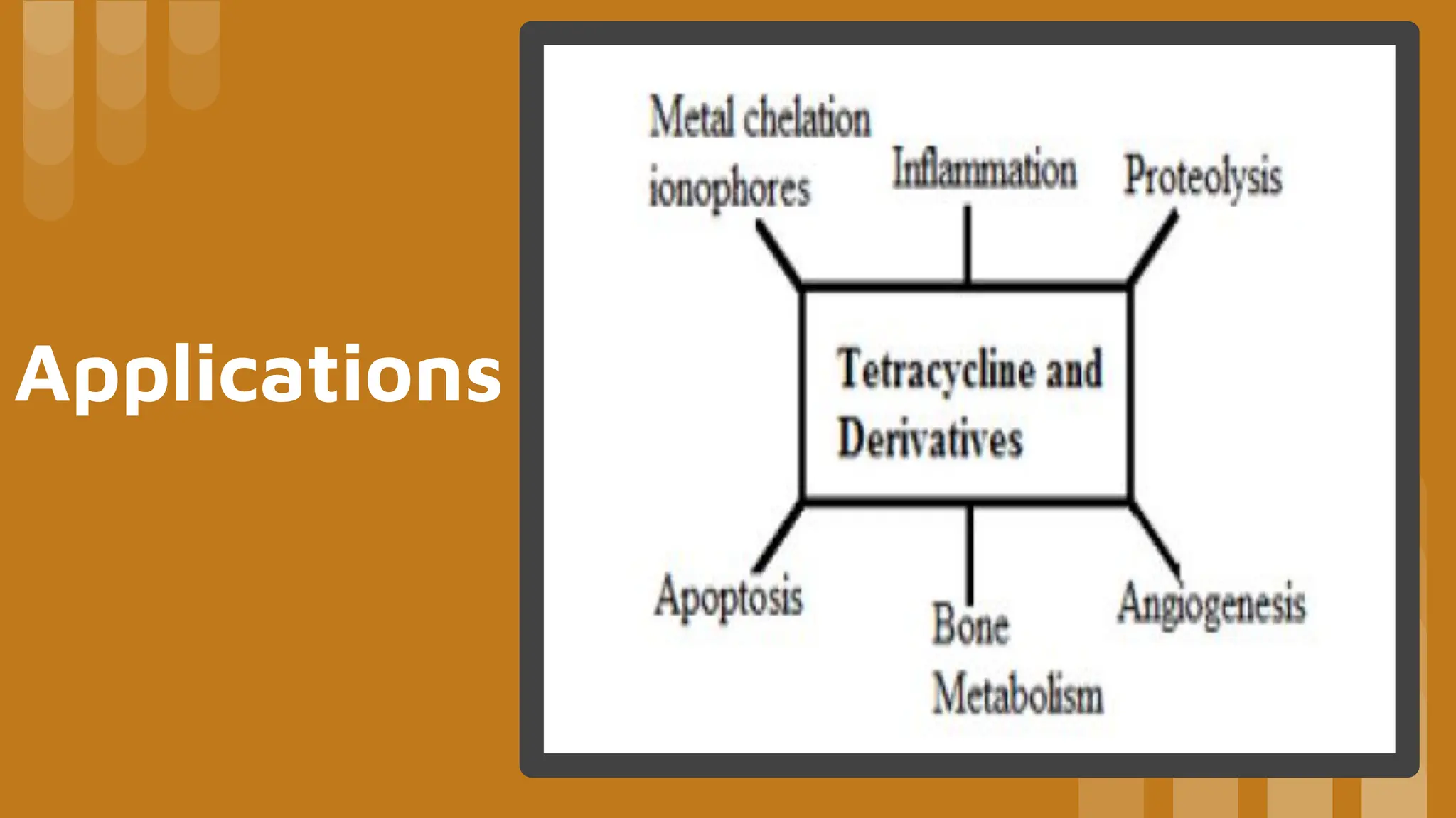 PPT on Tetracycline antibiotic (2).pdf