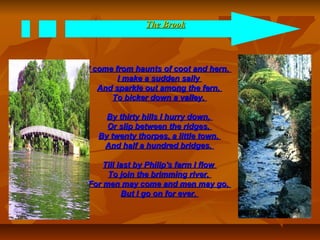 Ppt on the brook | PPT